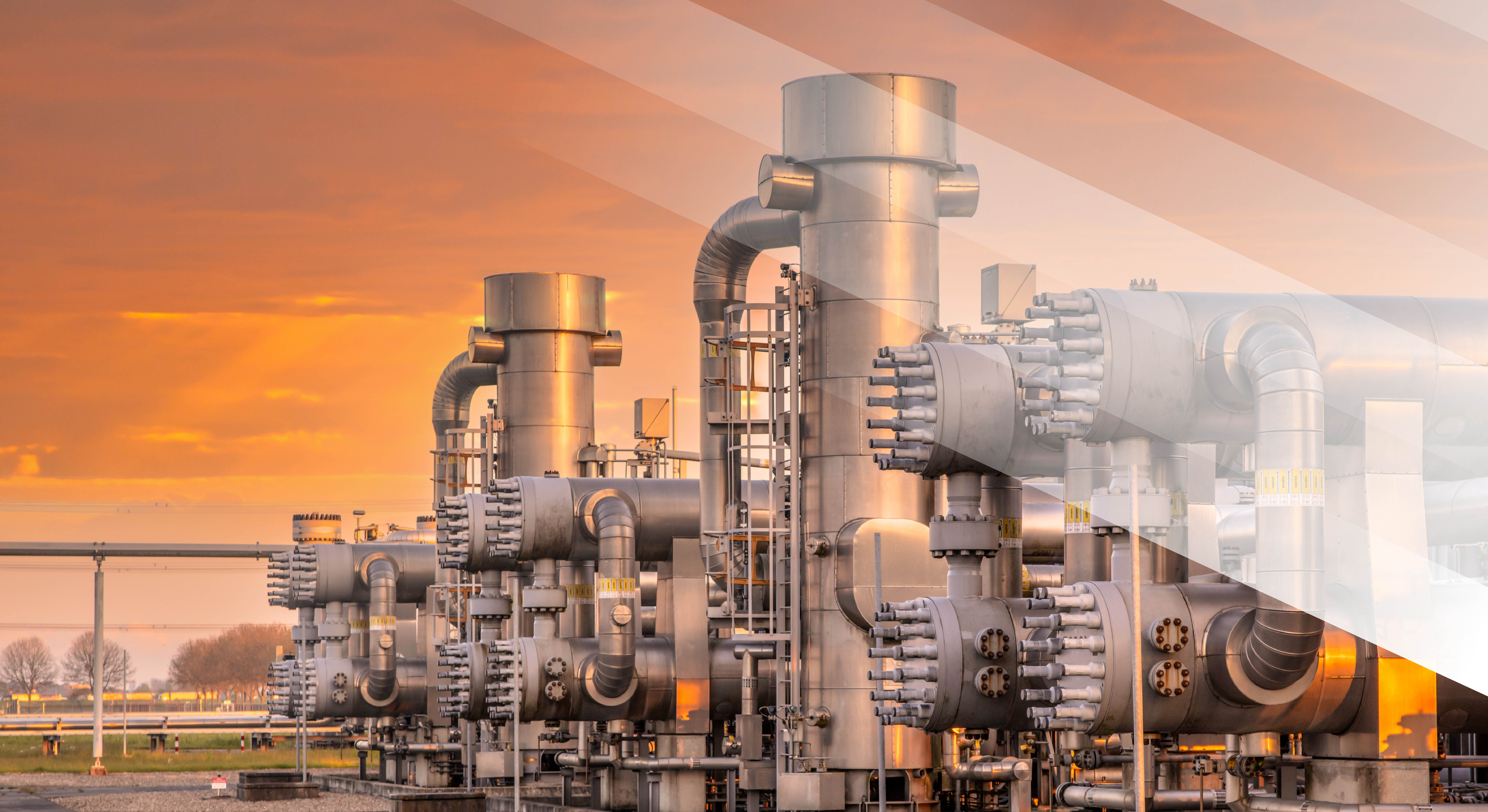 Cedant Facultative Risk Solutions | Consilium